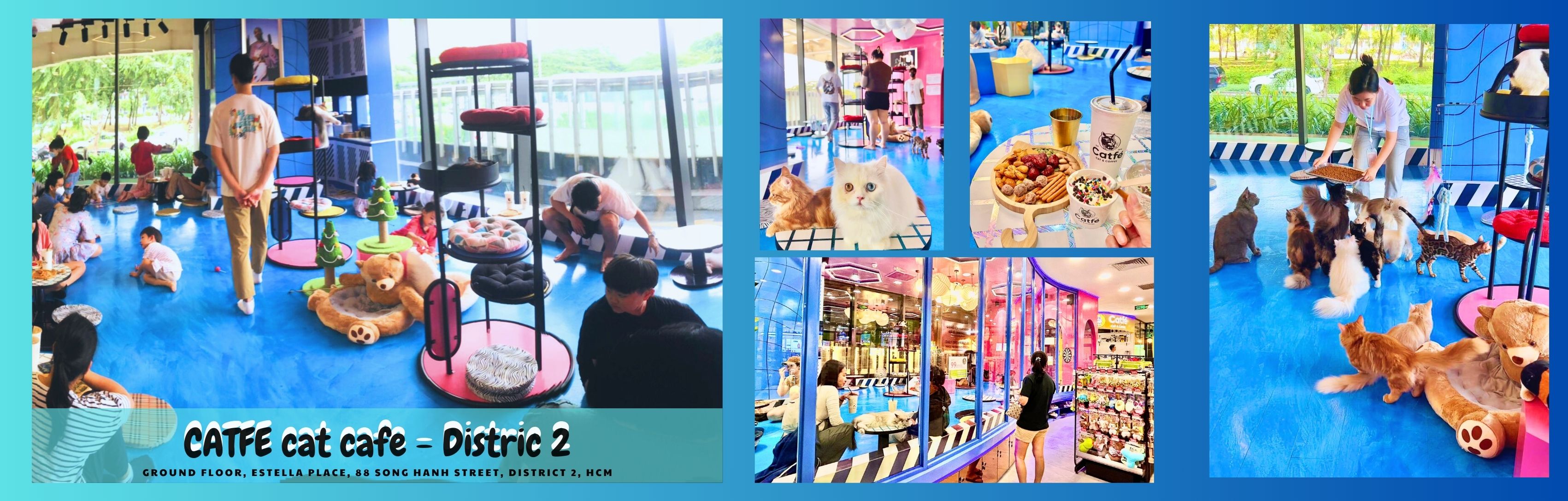 Trang chủ - Cafe mèo Catfe