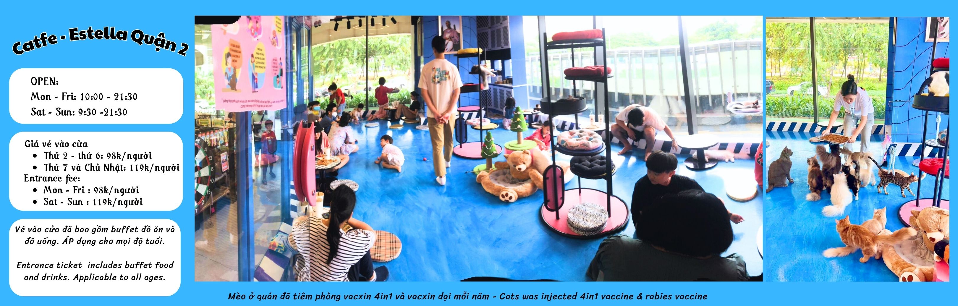 Trang chủ - Cafe mèo Catfe